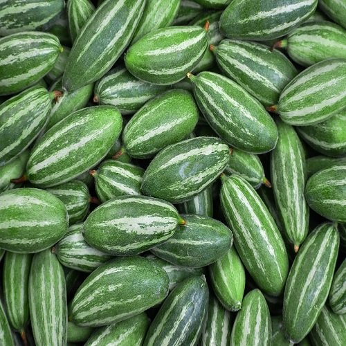 Green Pointed Gourd - Apex Enterprise